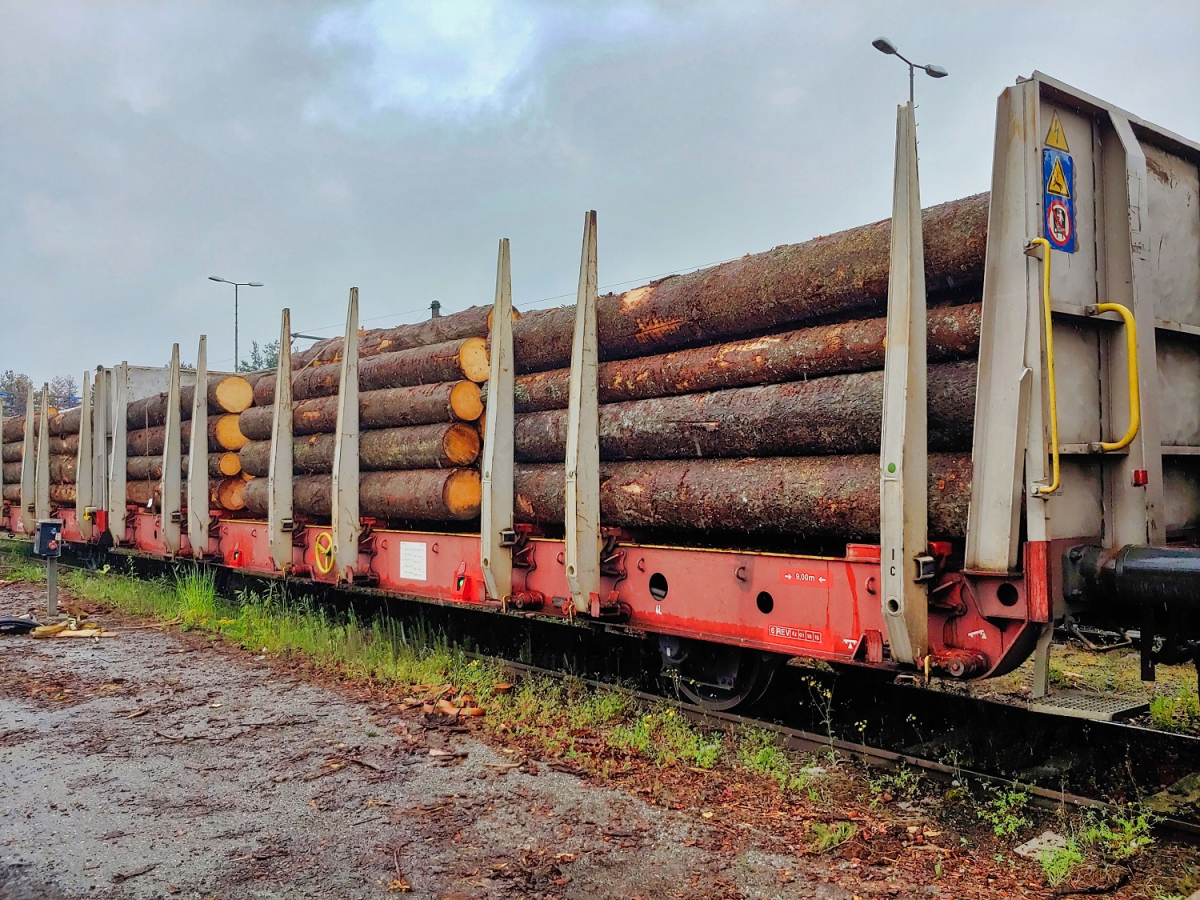 Load-Monitor - PJM EN